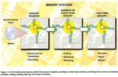 Treating Memory and Learning in the Individual with Traumatic Brain ...